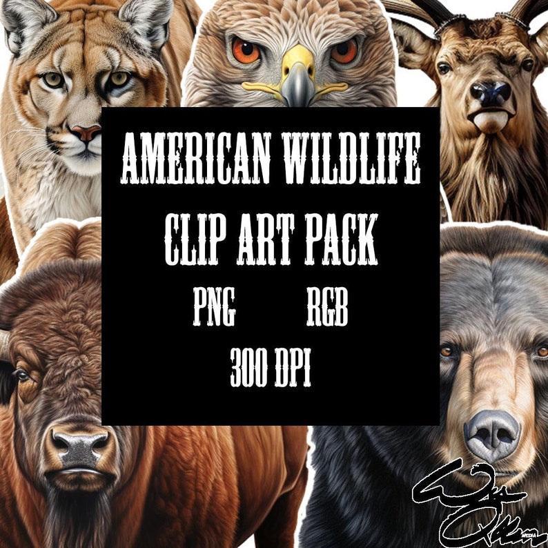 American Wildlife Clip Art Pack - Etsy