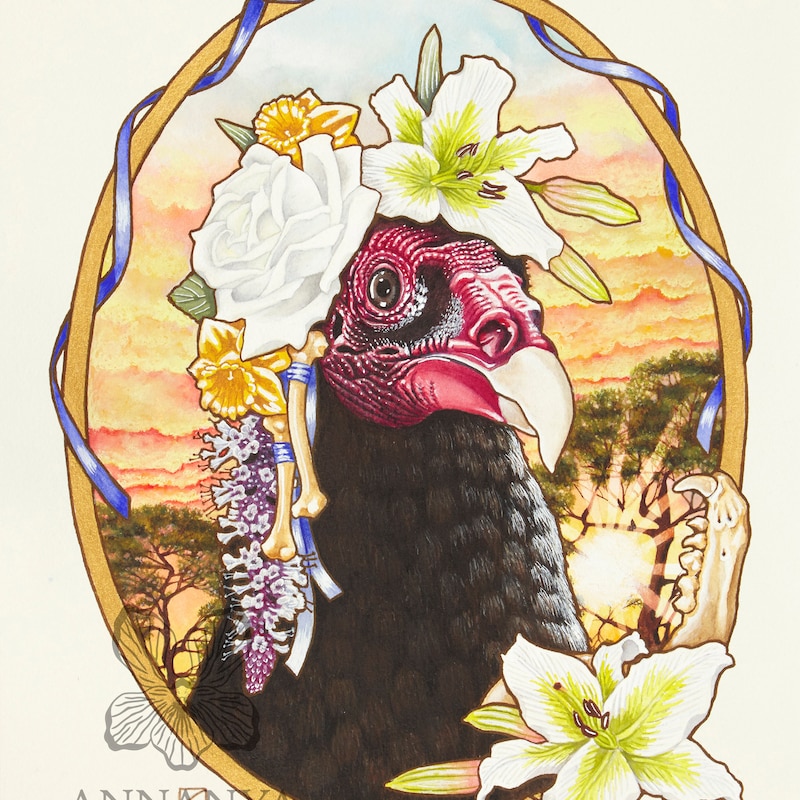 Turkey Vulture Print - Etsy