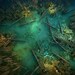 10 Gridless Swamp Battle Maps 3 | VTT Pack for Dnd, Pathfinder & Ttrpgs ...