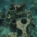 10 Underwater Battle Maps, Dnd Battlemap, Pathfinder, D&D, Dungeons and ...