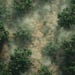 10 Gridless Forest Shrine Battle Maps | VTT Pack for Dnd, Pathfinder ...