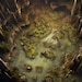 10 Swamp Battle Maps, Dnd Battle Map, Pathfinder, D&D, Battlemap ...