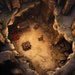16 Cave/underdark Maps, Dnd Battle Map, Pathfinder, D&D, Battlemap ...