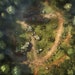 10 Forest Battle Maps, Dnd Battle Map, Pathfinder, D&D, Battlemap ...