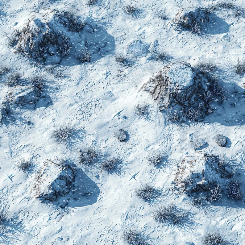 10 Frozen Landscape Battle Maps, Dnd Battlemap, Pathfinder, D&D ...