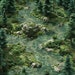 10 Swamp Battle Maps 2, Dnd Battle Map, Pathfinder, D&D, Battlemap ...