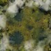10 Gridless Swamp Battle Maps 3 | VTT Pack for Dnd, Pathfinder & Ttrpgs ...