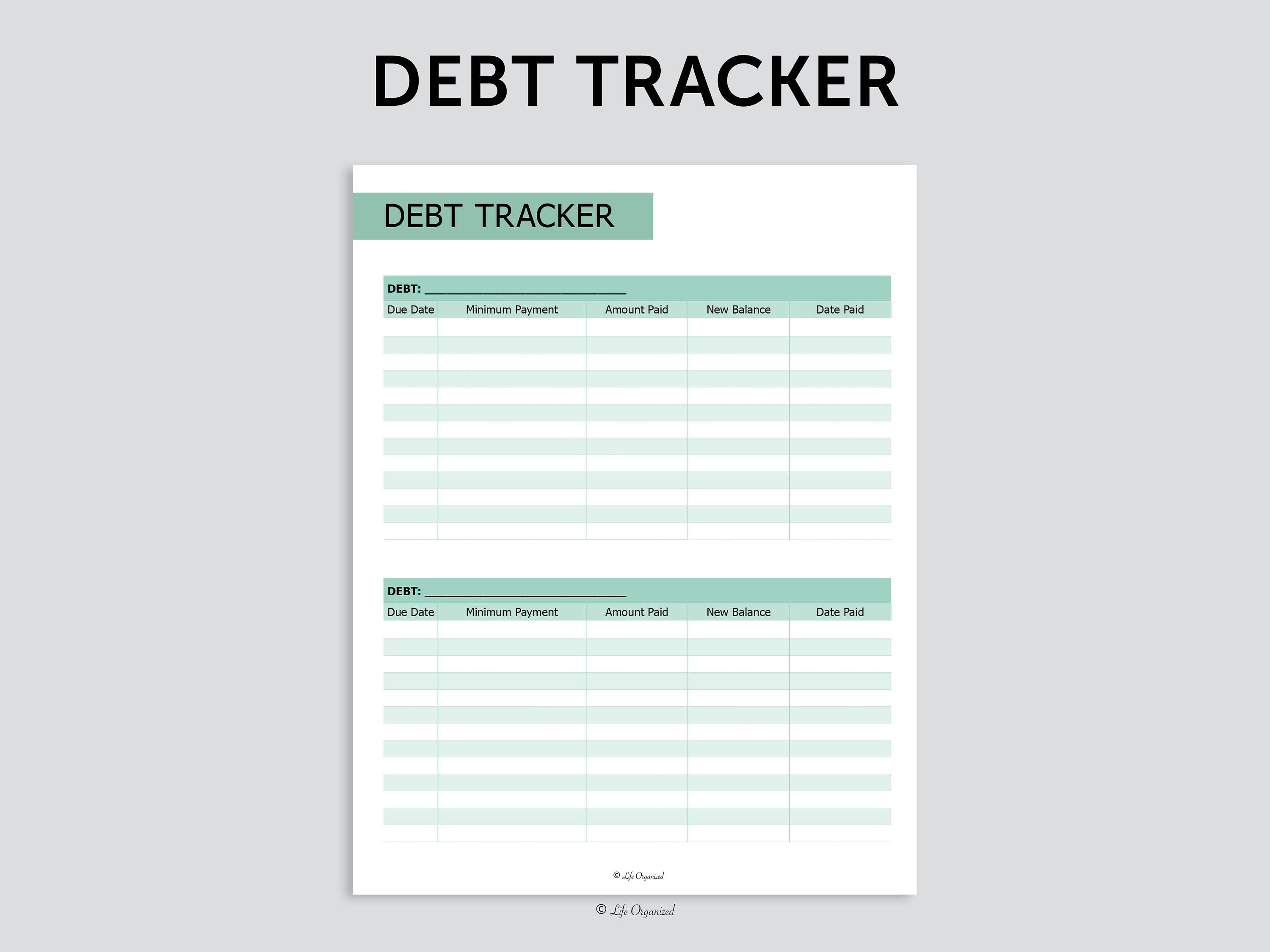 Debt Tracker - Etsy