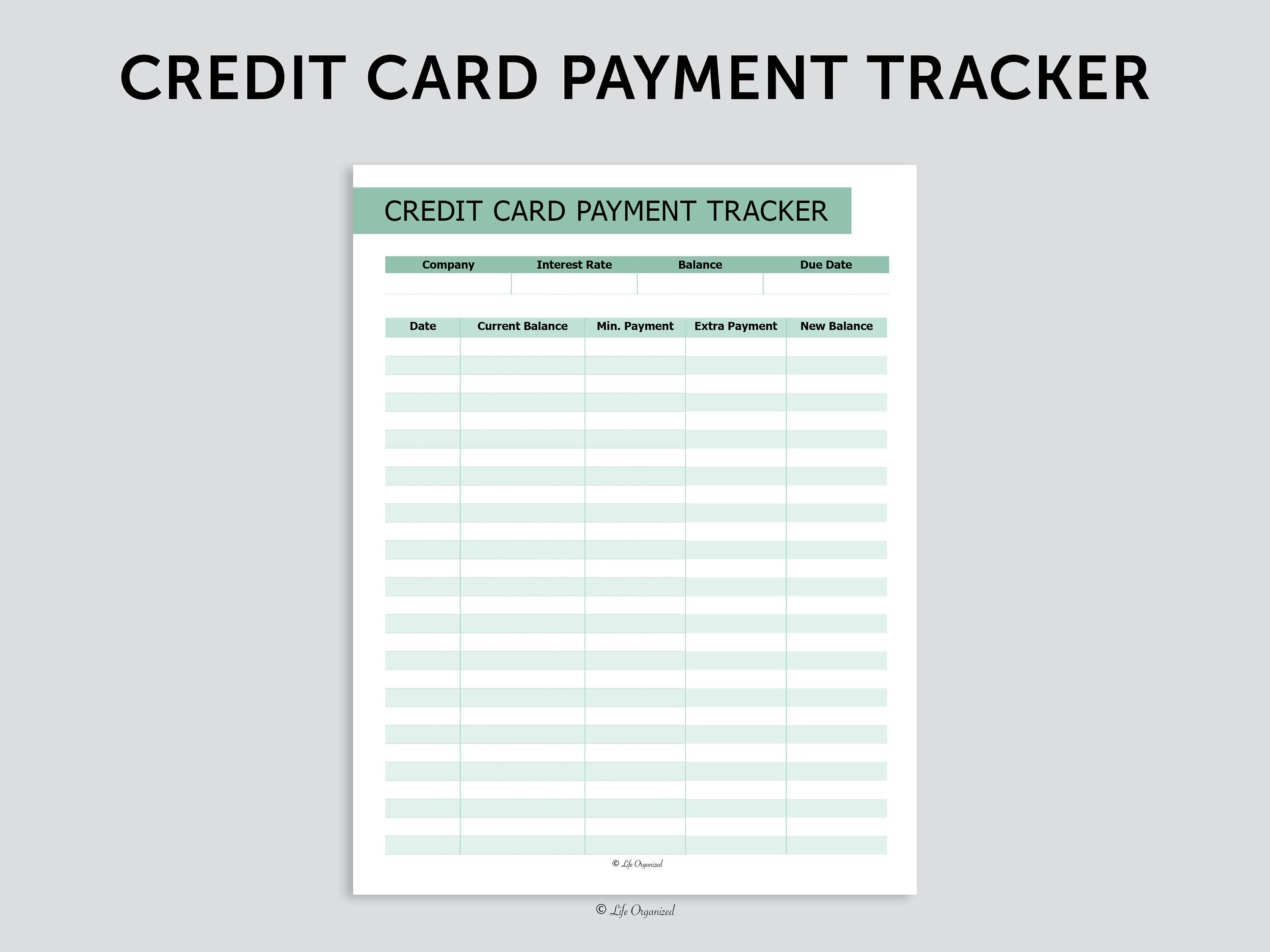 Credit Card Payment Tracker - Etsy