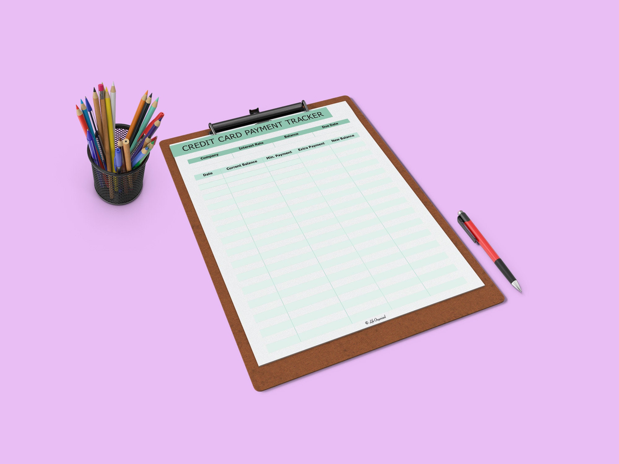 Credit Card Payment Tracker - Etsy