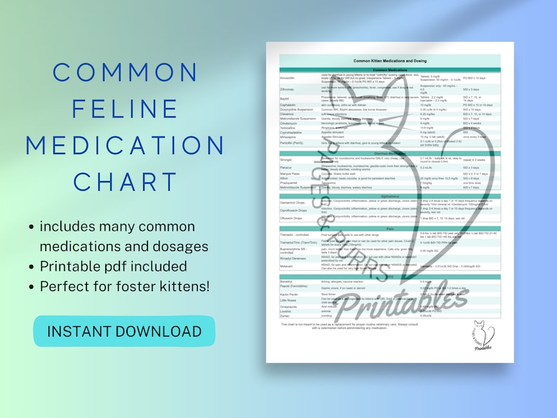Kitten Common Medication Guide Chart - Etsy