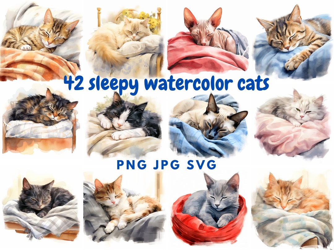 42 Cute Sleepy Watercolor Cats High Quality Clipart Images - Etsy