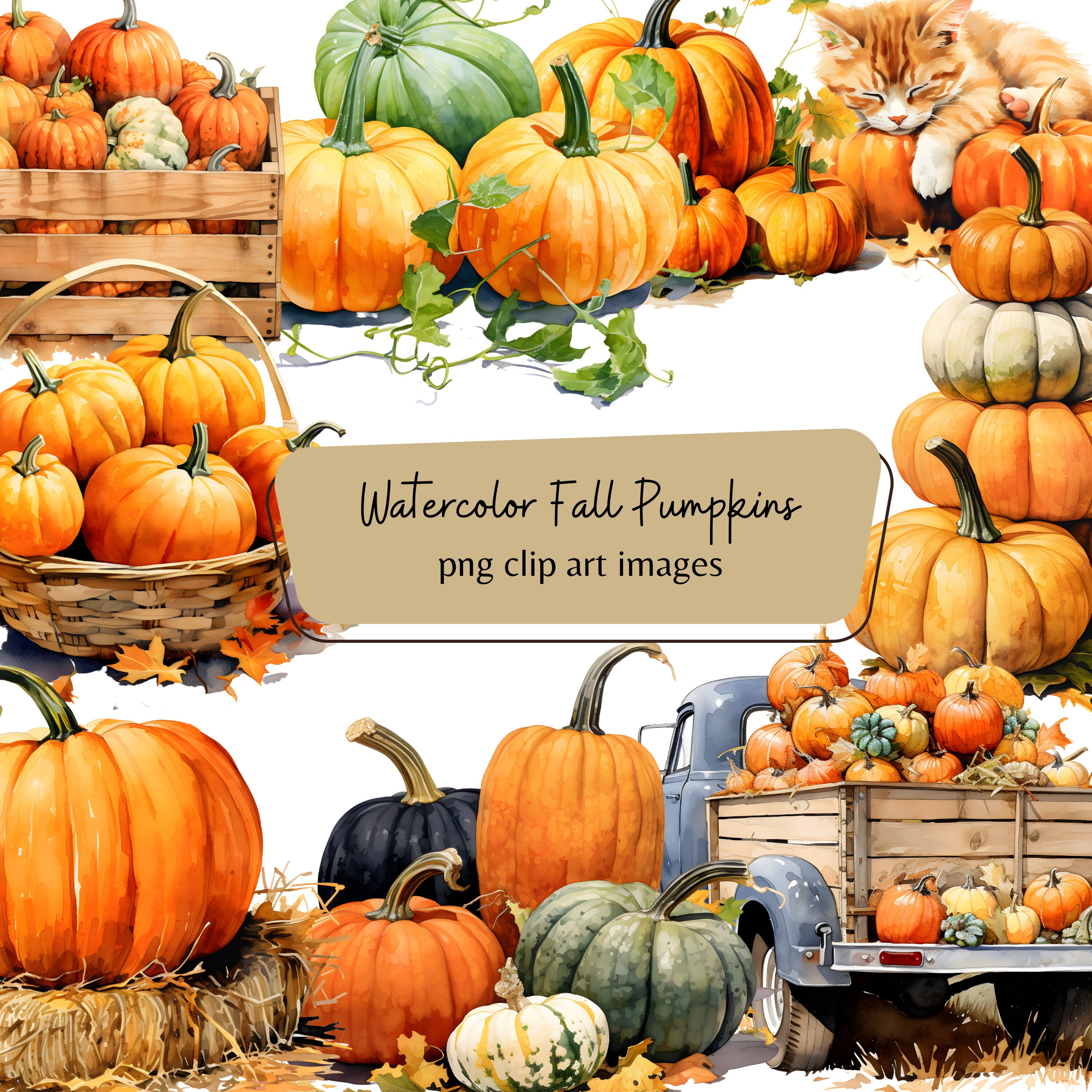 42 Fall Pumpkins Png High Quality Clip Art Images for Fall - Etsy