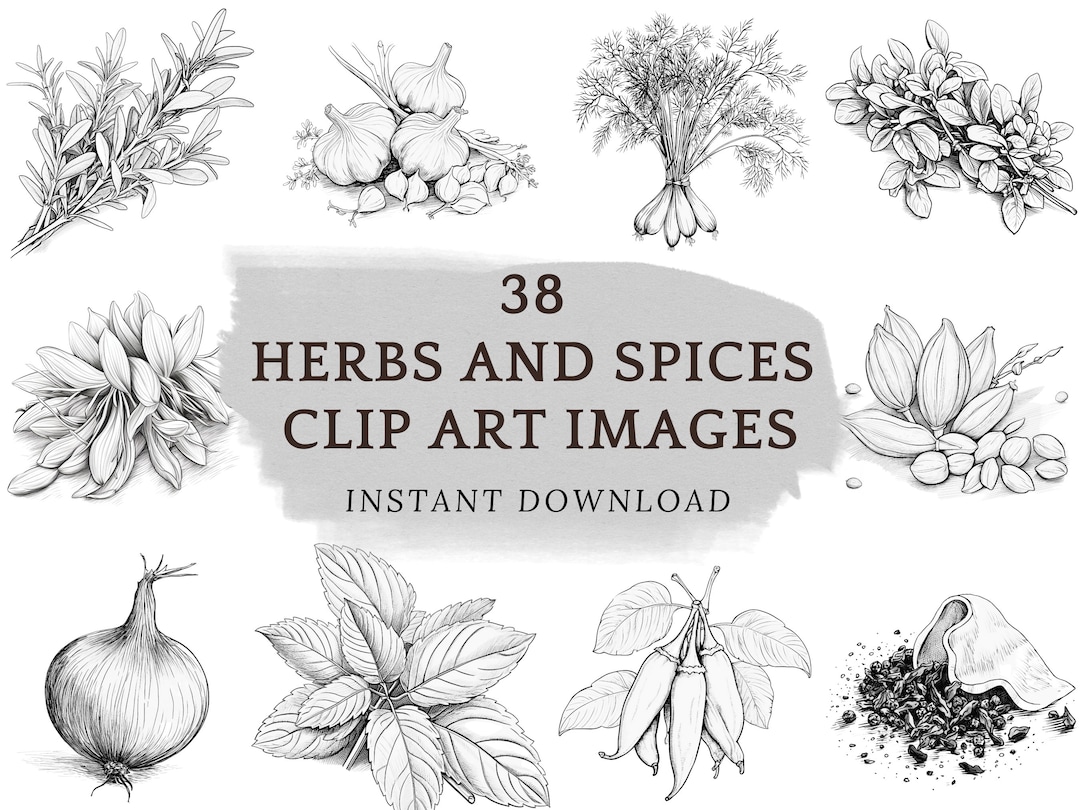Kitchen Herbs and Spices Clip Art Black and White PNG File - Etsy