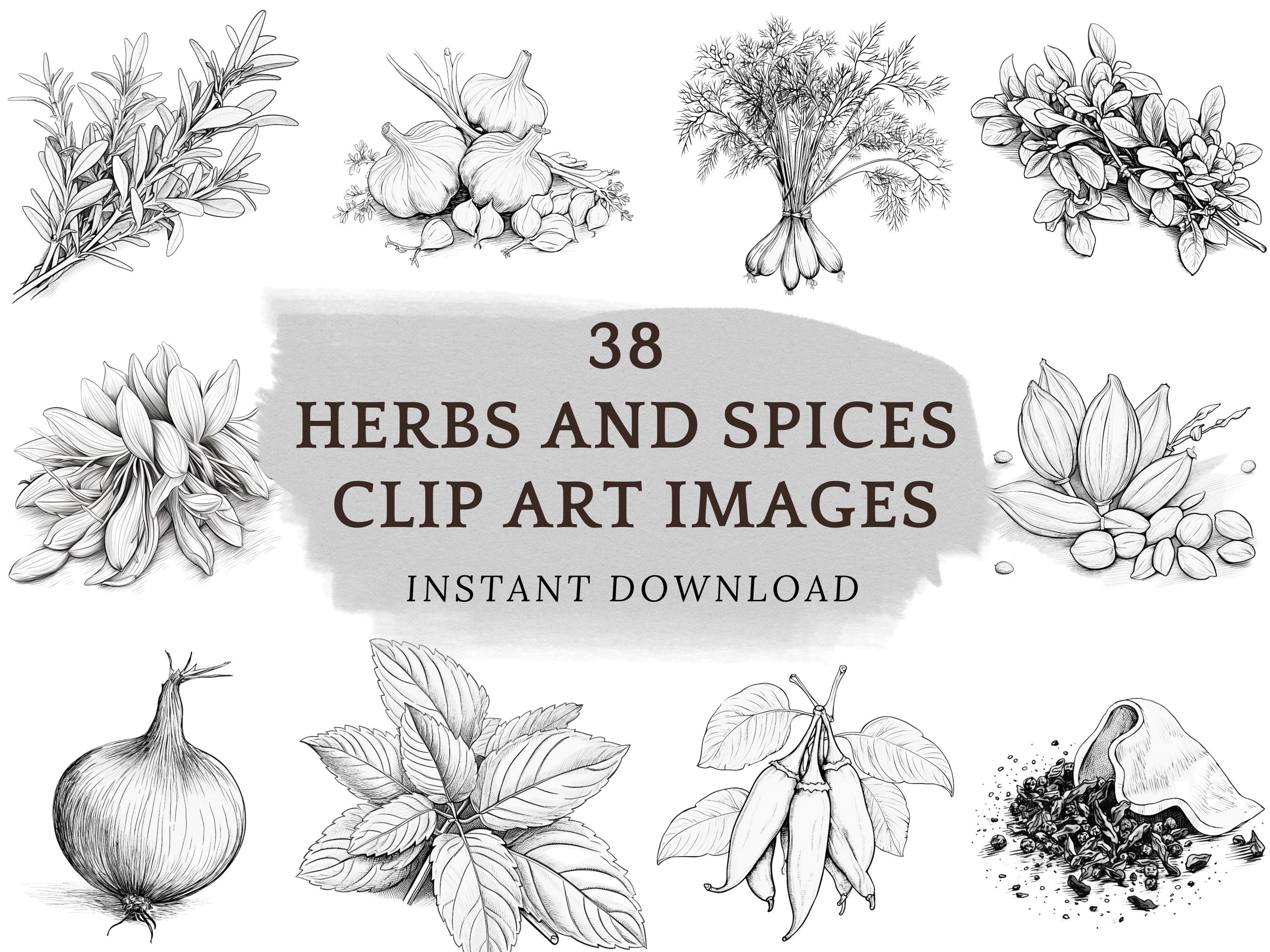 Kitchen Herbs and Spices Clip Art Black and White PNG File - Etsy