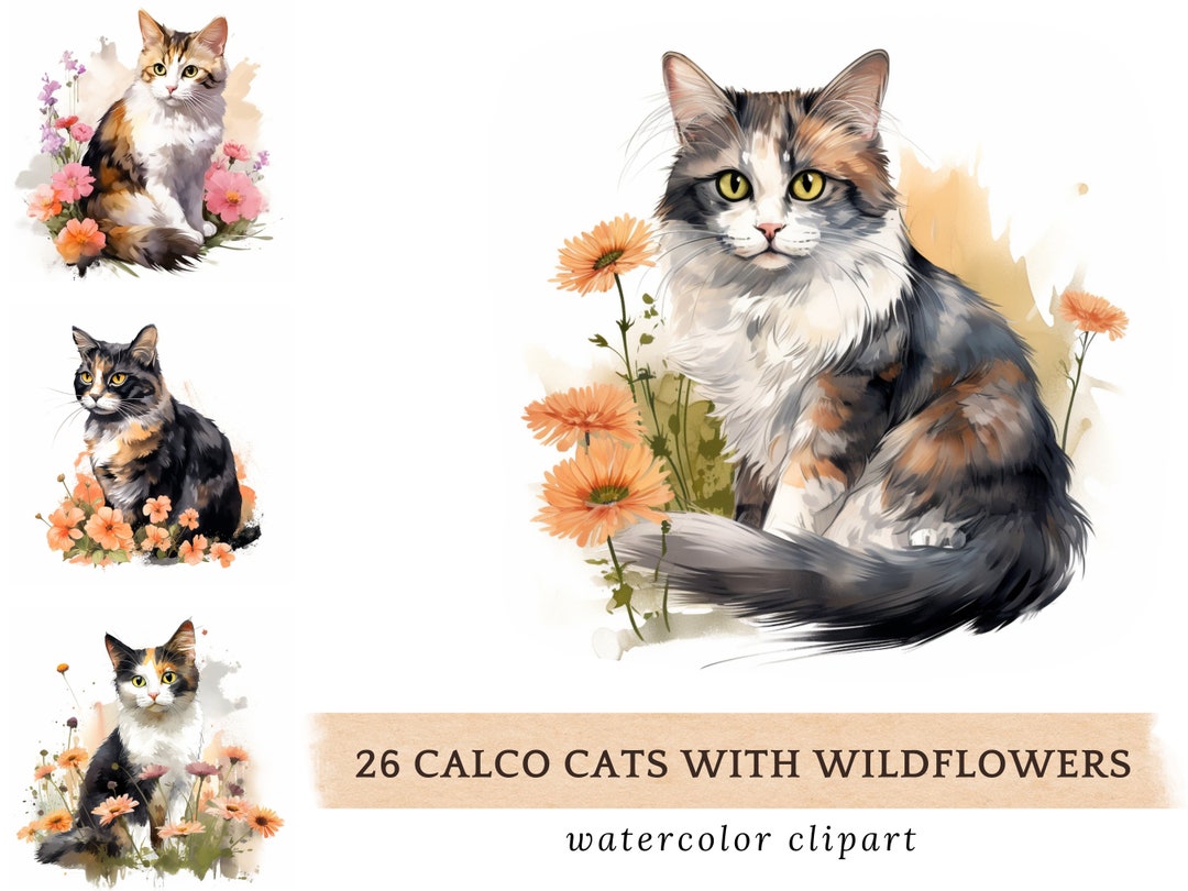 Watercolor Calico Cats and Florals Svg Png Jpeg High Quality Clip Art ...