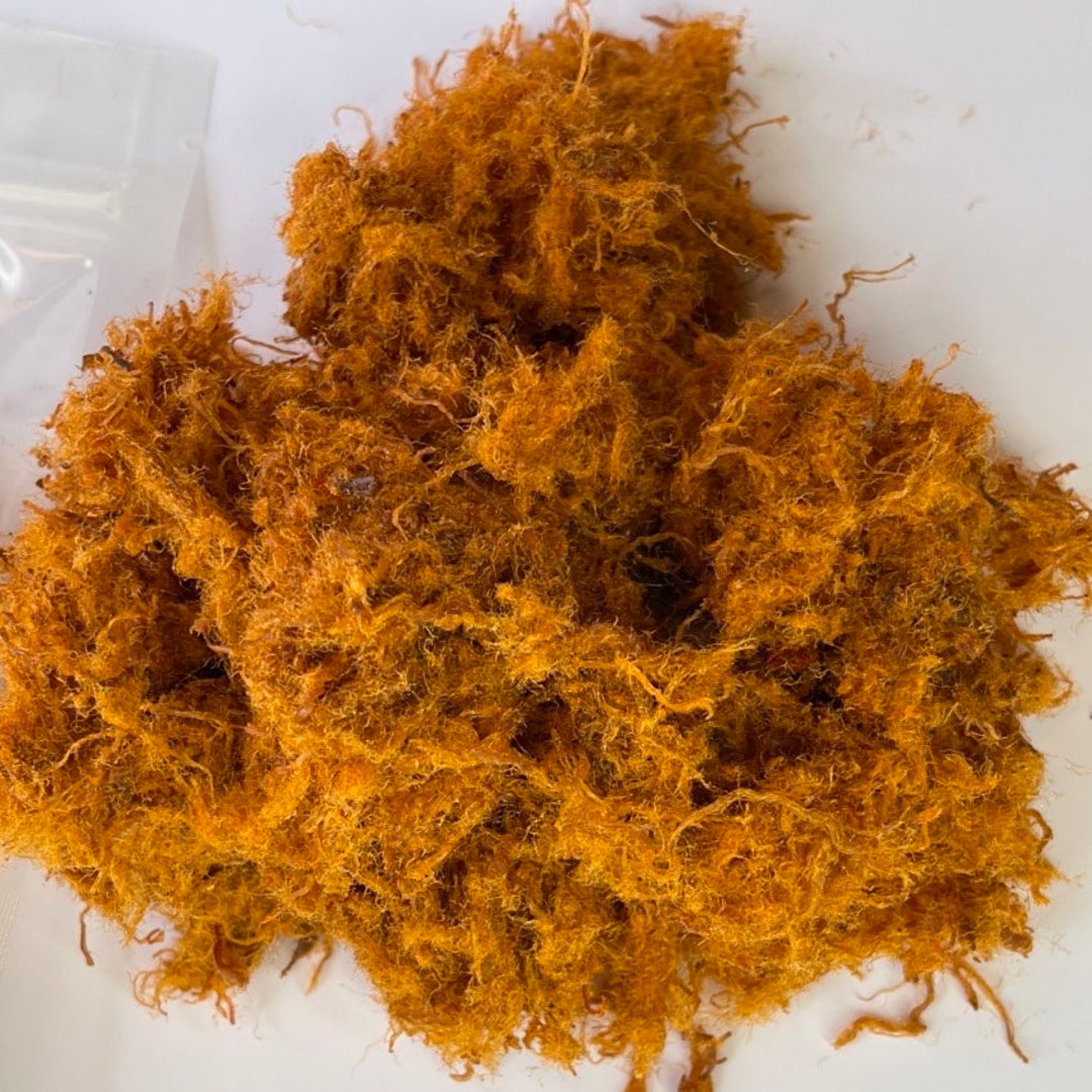 DAMBU NAMA BEEFFLOSS - Etsy