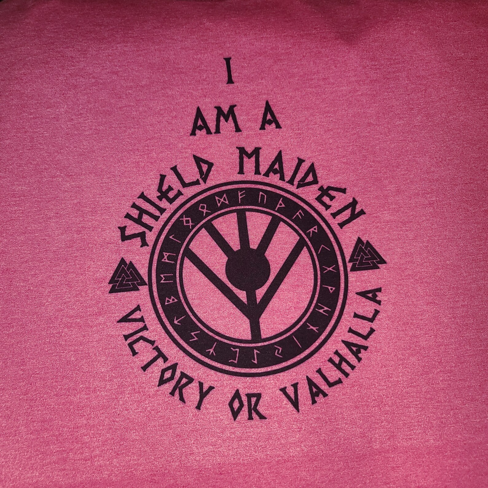 I Am a Shield Maiden, Victory or Valhalla, Shield Maiden, the Vikings ...