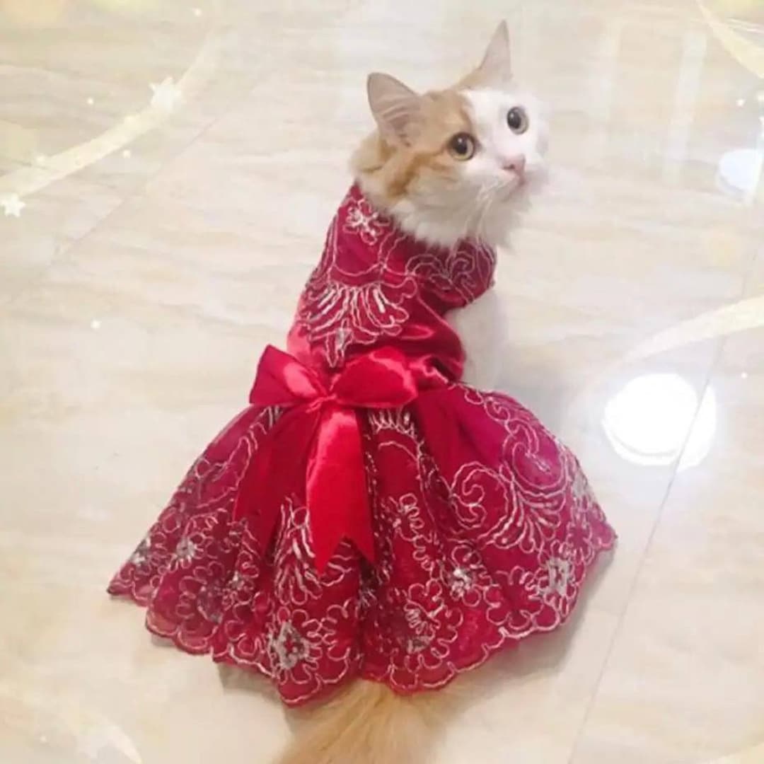 Cat Dress Cat Outfit Puppy Dress Cute Cat Clothes Puppy - Etsy