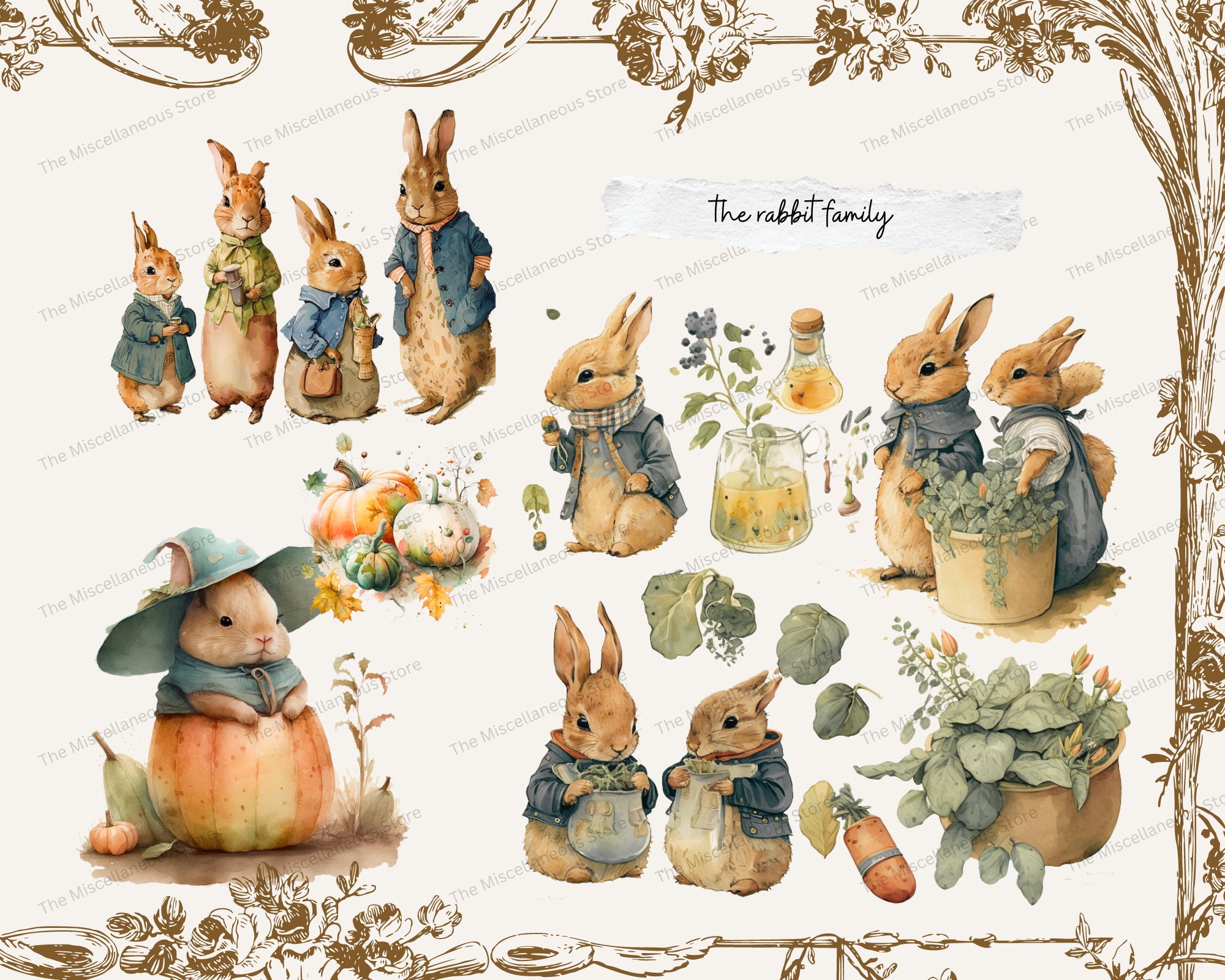 Peter Rabbit Clip Art | Bunnies an Animal Friends | Water Color ...