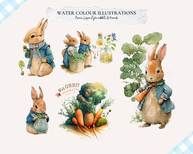 Peter Rabbit Inspired Watercolor Clipart | Pierre Lapin Style, Bunnies ...