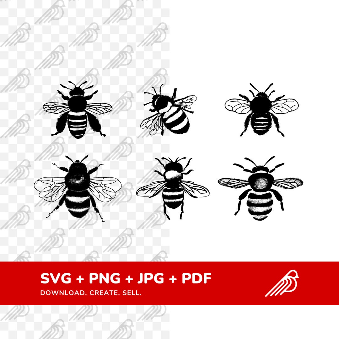 Bumble Bee & Honey Bee Digital Illustration Bundle | Cute Buzzing ...