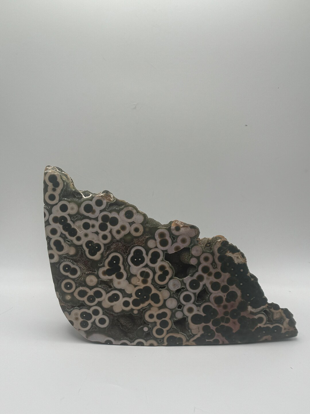 Orbicular Ocean Jasper Plate: Self Standing Stone Display - Etsy