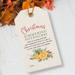 PRINTABLE Christmas Simmer Pot Tags, Holiday Potpourri Gift Tag ...