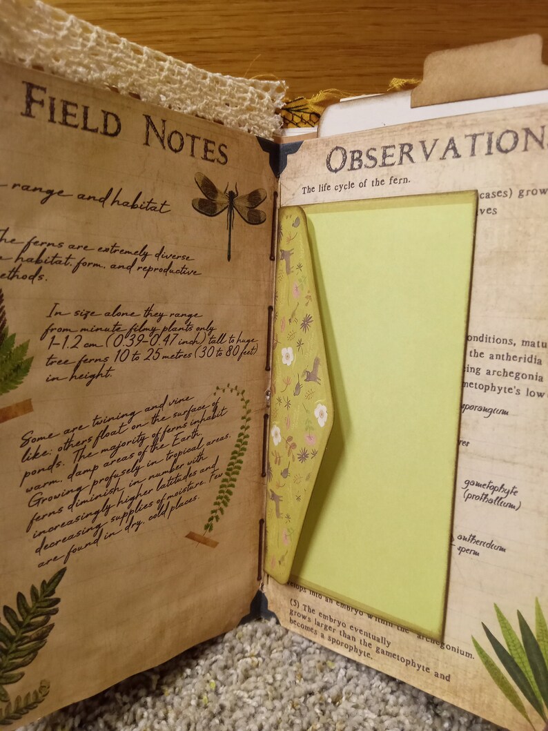 Field Notes Journal - Etsy
