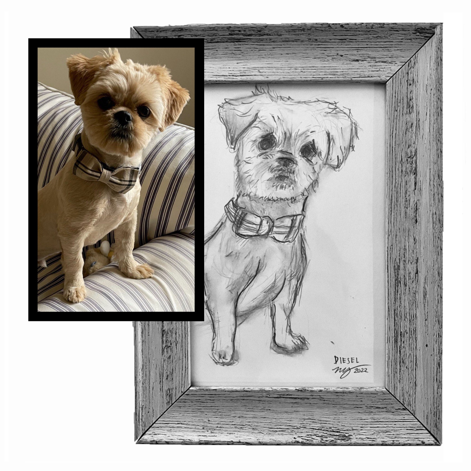 Pet Illustrations, Custom Hand Drawn Portraits, Cartoon Drawing of Pet ...