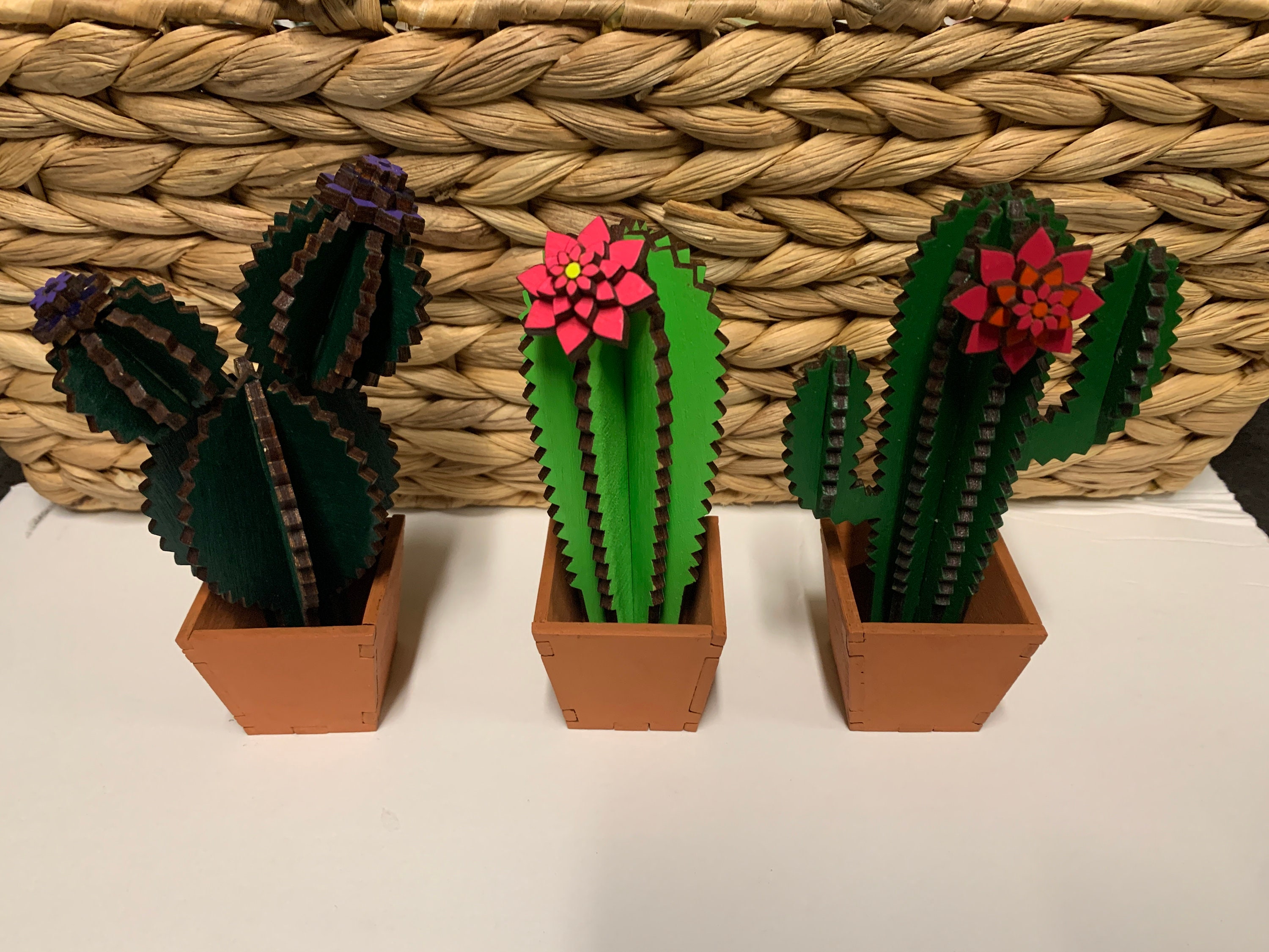 Miniature Wooden Cacti DIY Build Kits | Set of 5 | Laser Cut - Etsy