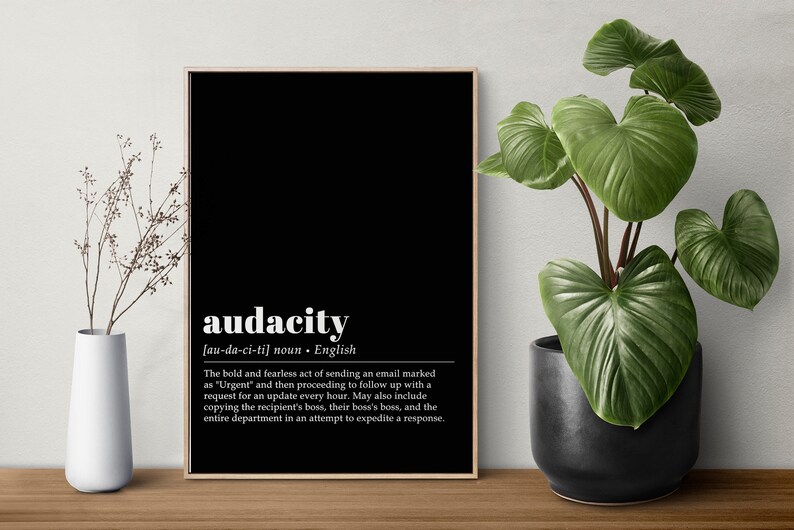 Audacity Poster Funny Wall Art Definition Poster Office - Etsy