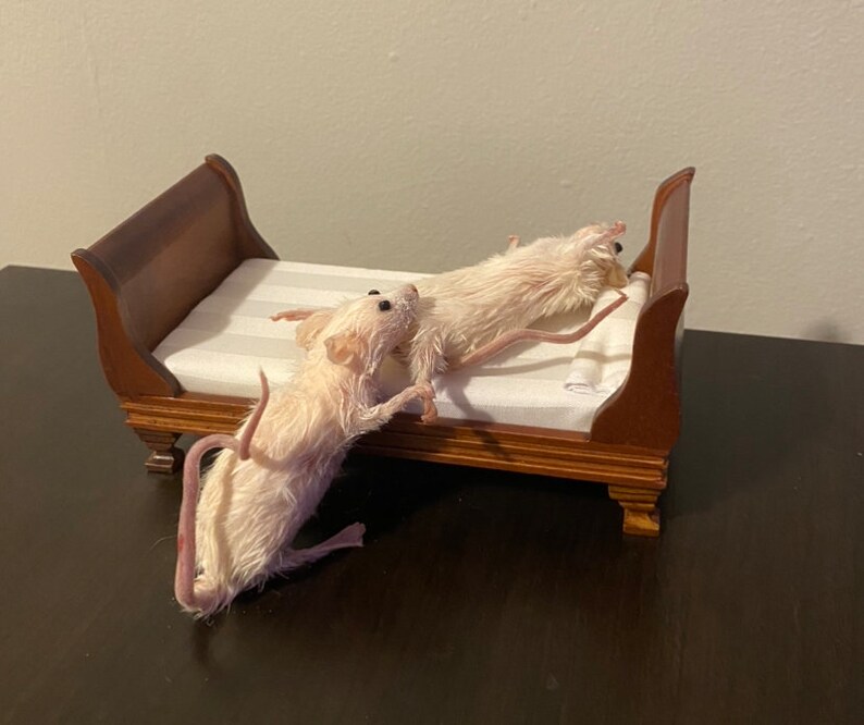 Cunning Linguist Mice - Etsy