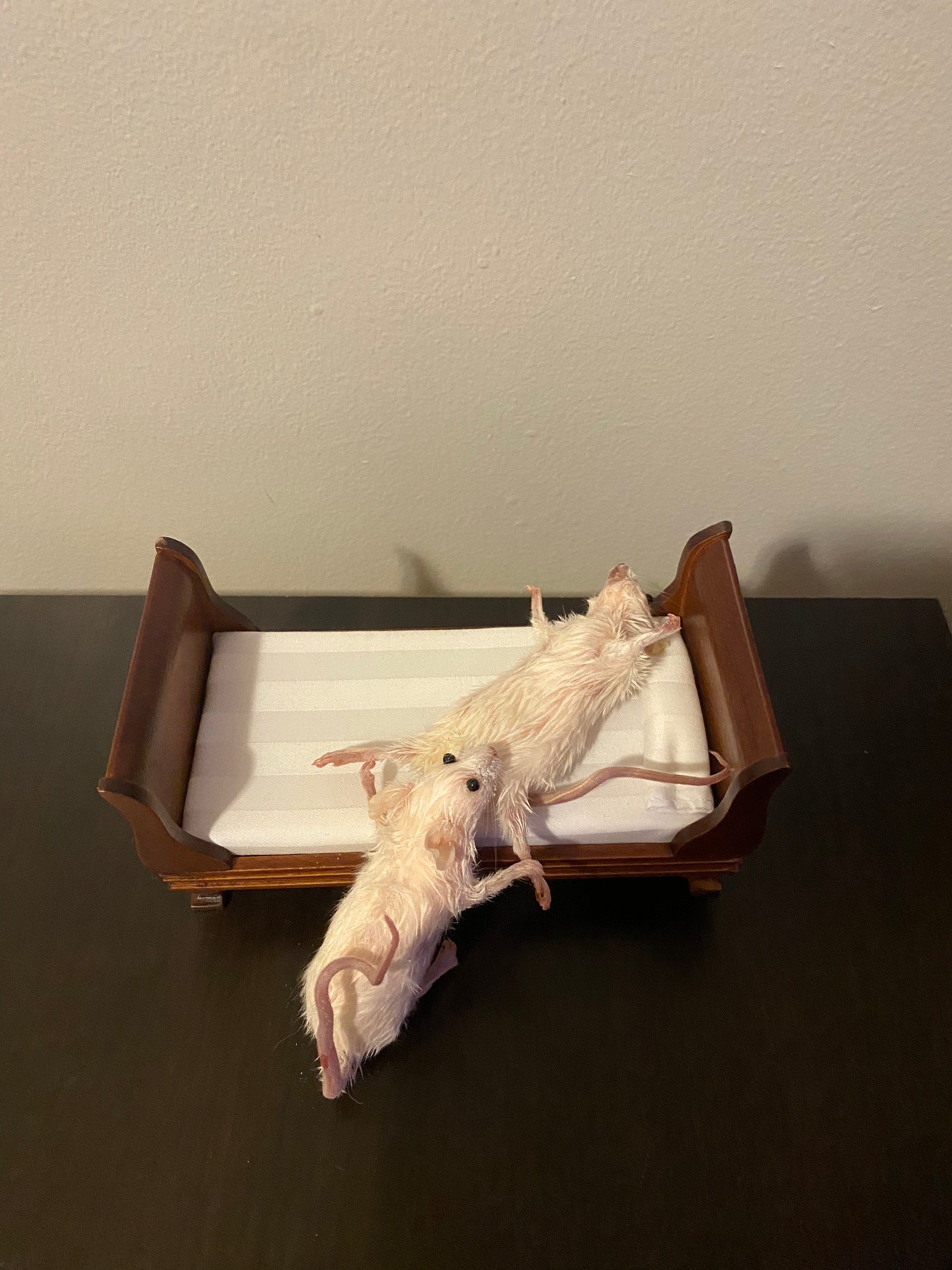 Cunning Linguist Mice - Etsy UK