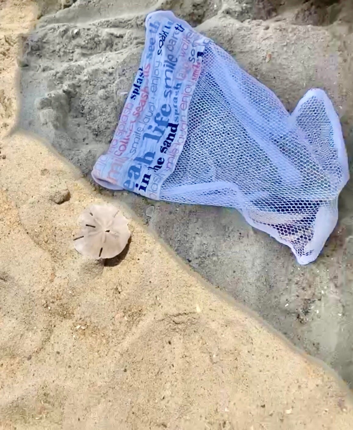 Beachcomber Bag; A Must Have for the Shell Collector. Nylon Mesh Bag ...