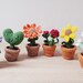 Crochet PATTERN Pot Mini Potted Flower Amigurumi - Etsy