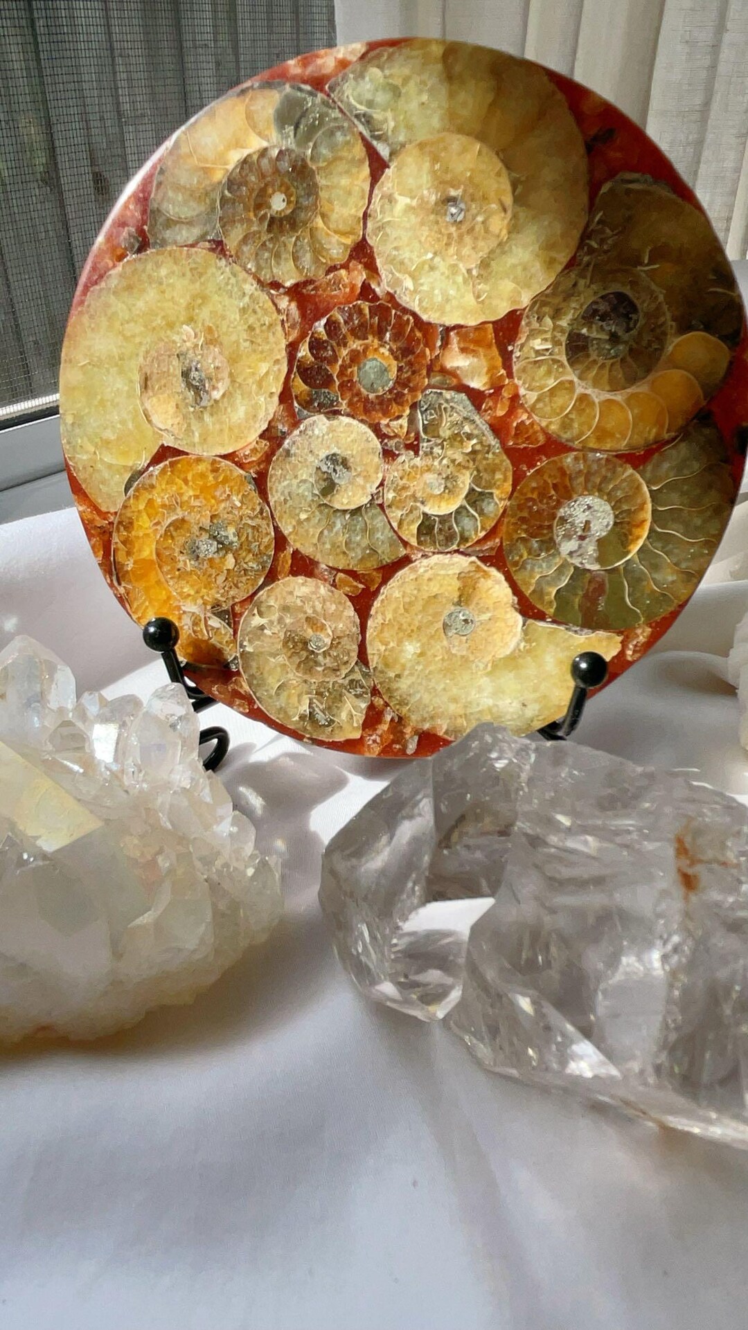 Natural Genuine Crystal Fossil Ammonite Plate With Stand Healing - Etsy