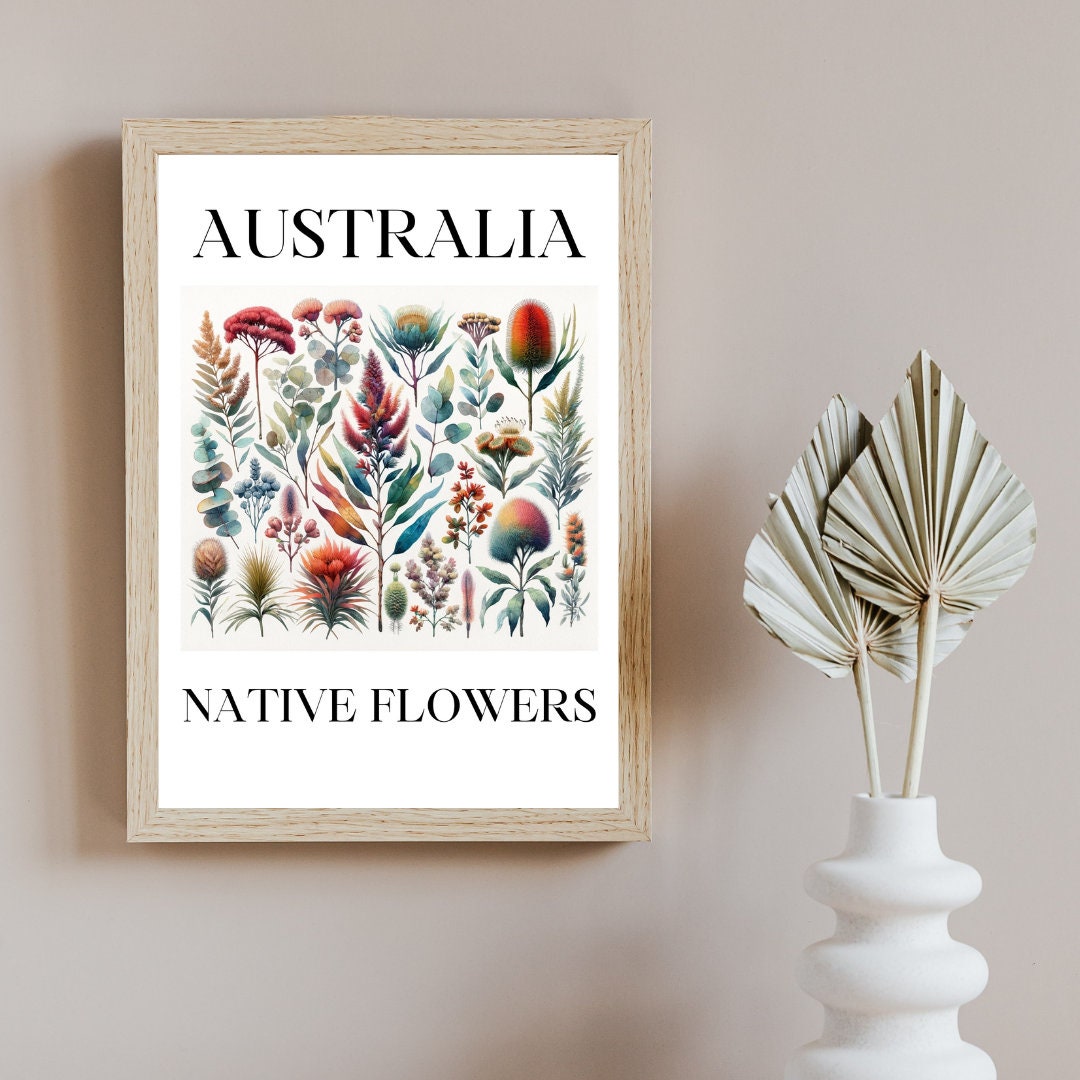 Australian Native Flowers and Plants Botanical Print - Etsy