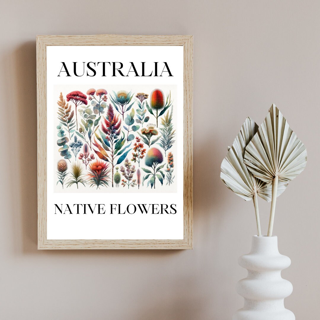Australian Native Flowers and Plants Botanical Print - Etsy