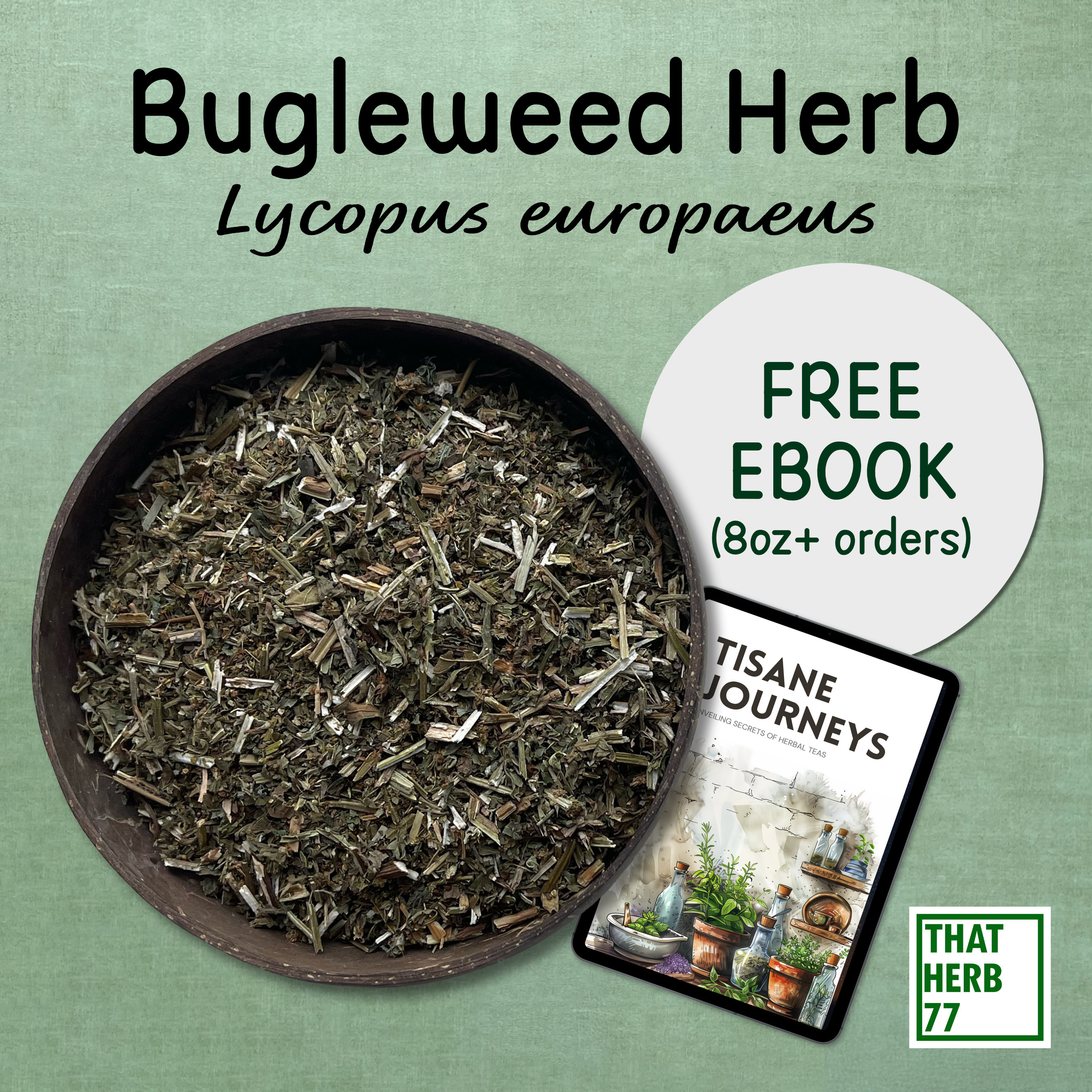 Dried Bugleweed Herb lycopus Europaeus Best Quality 100% Organic GMO ...