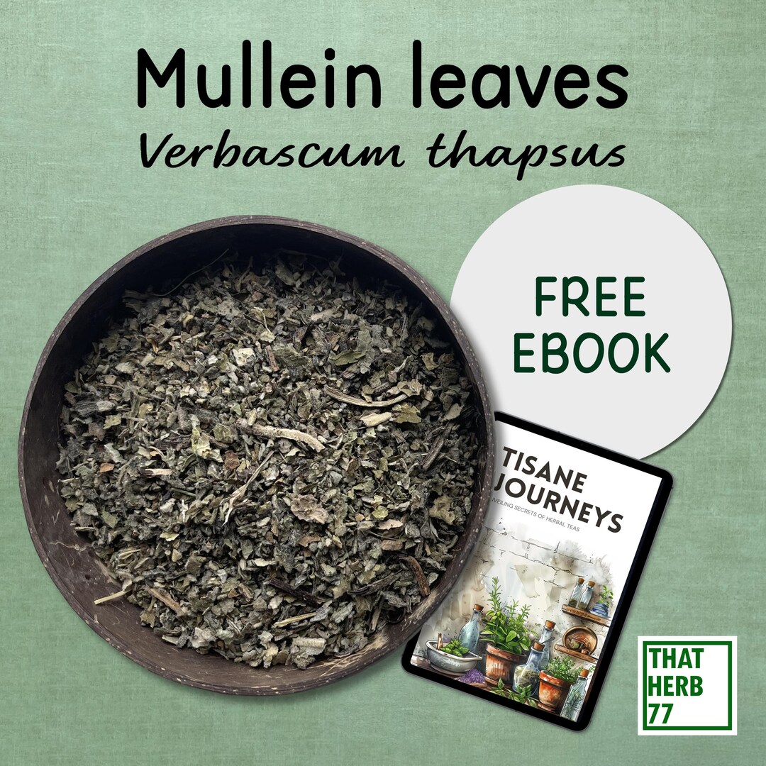 Organic Dried Mullein Leaves: Herbal Tea, Sustainably Sourced - Etsy
