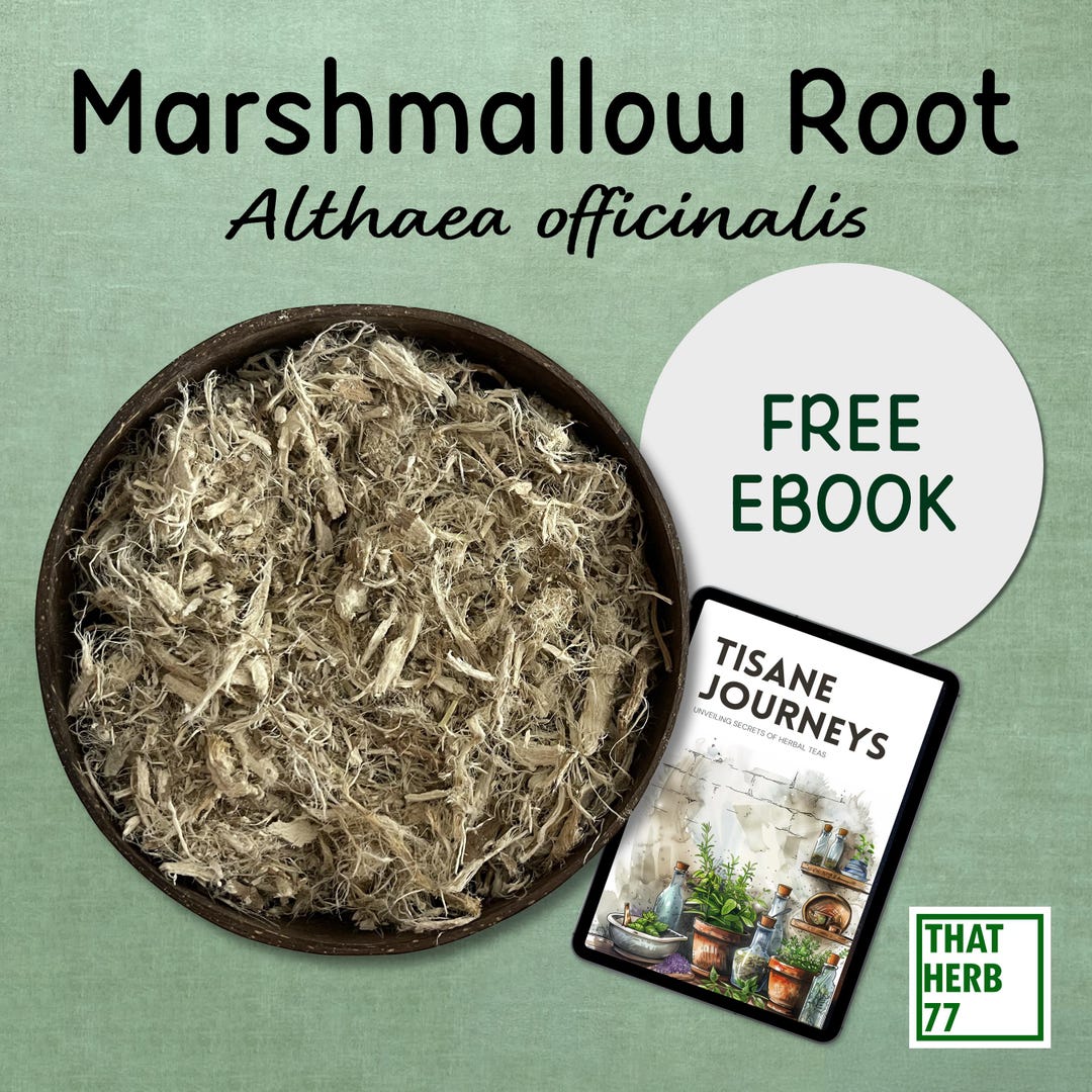 Organic Marshmallow Root: Herbal Tea, Sustainably Sourced - Etsy