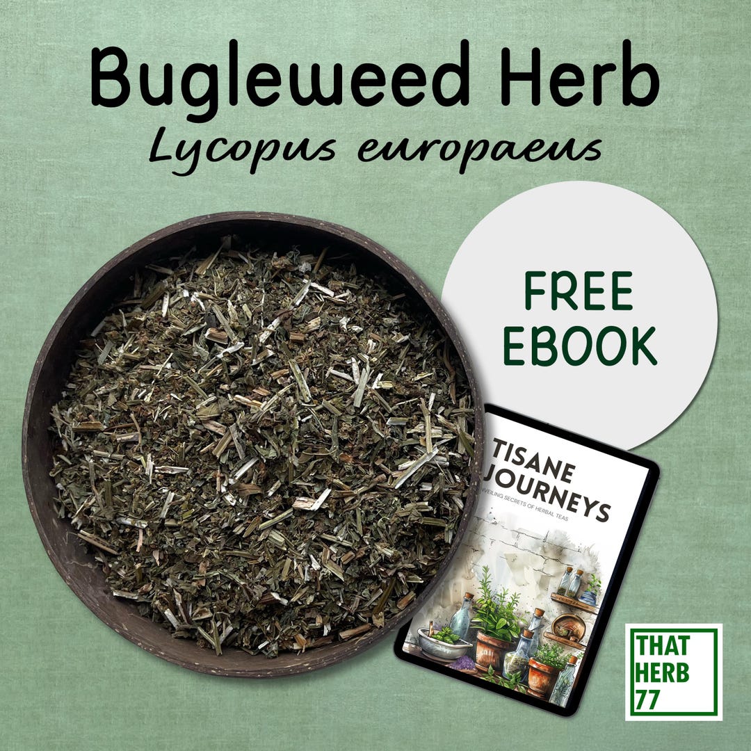 Dried Bugleweed Herb [lycopus Europaeus] | Best Quality | 100% Organic ...