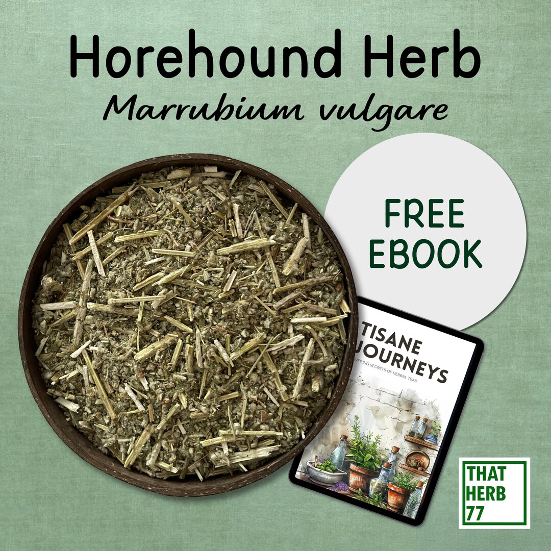 Organic Horehound Herb: Wild-crafted Marrubium Vulgare, Herbal Tea - Etsy