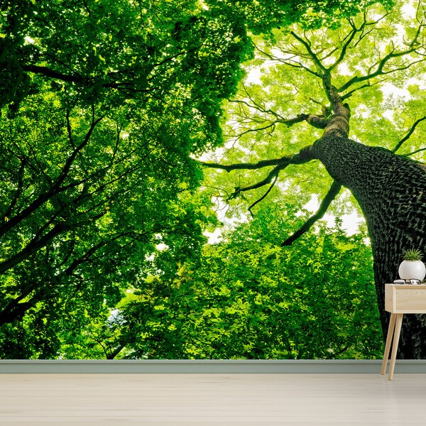 Modern Tree View Art - Etsy