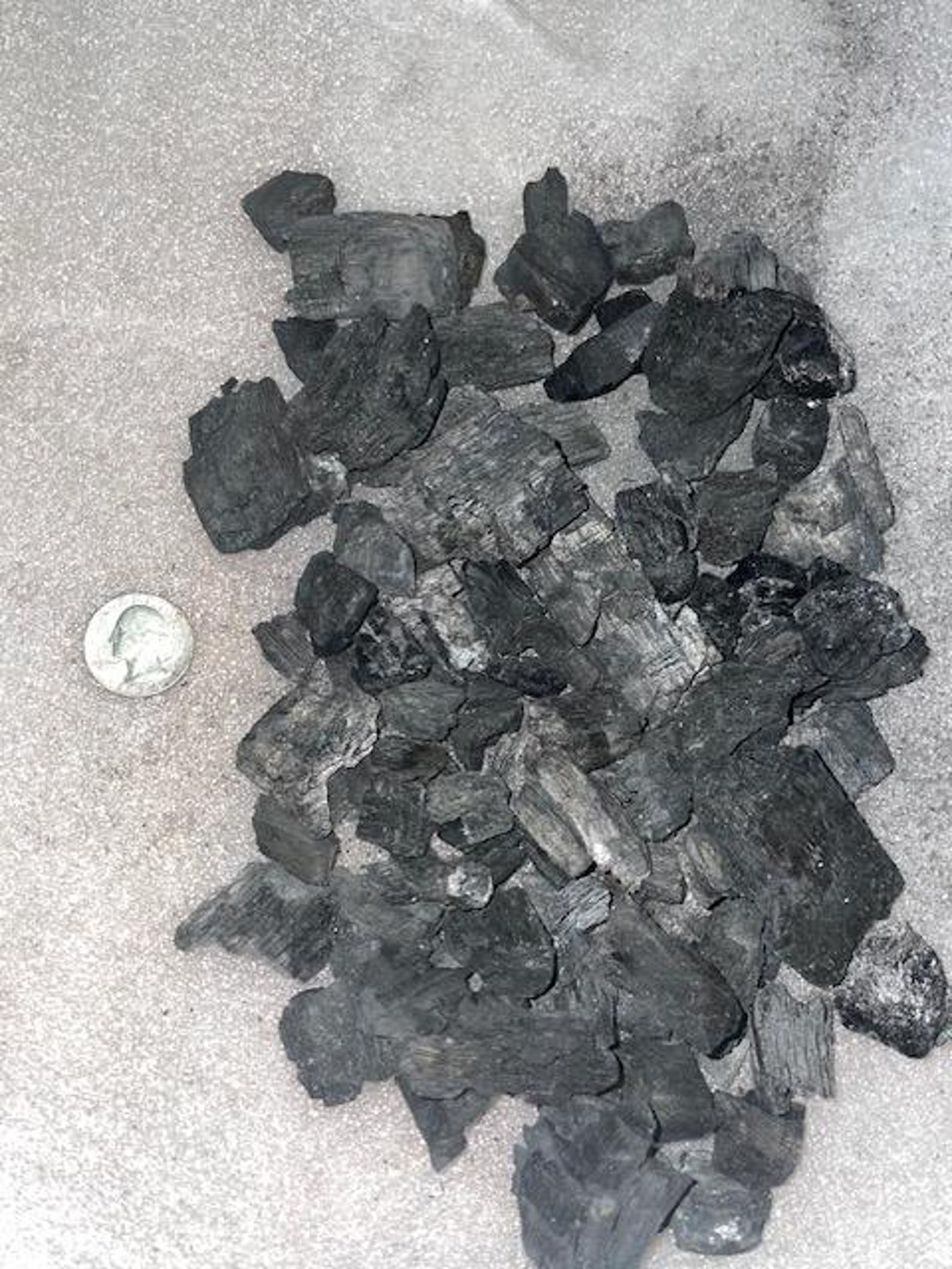 Hardwood Biochar 1 Gallon - Etsy