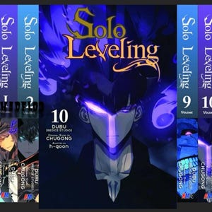 Solo Leveling Box Set English - Etsy UK