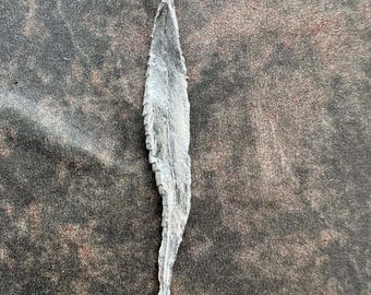 Pendentif feuille de chêne véritable en argent Pendentif véritable ...