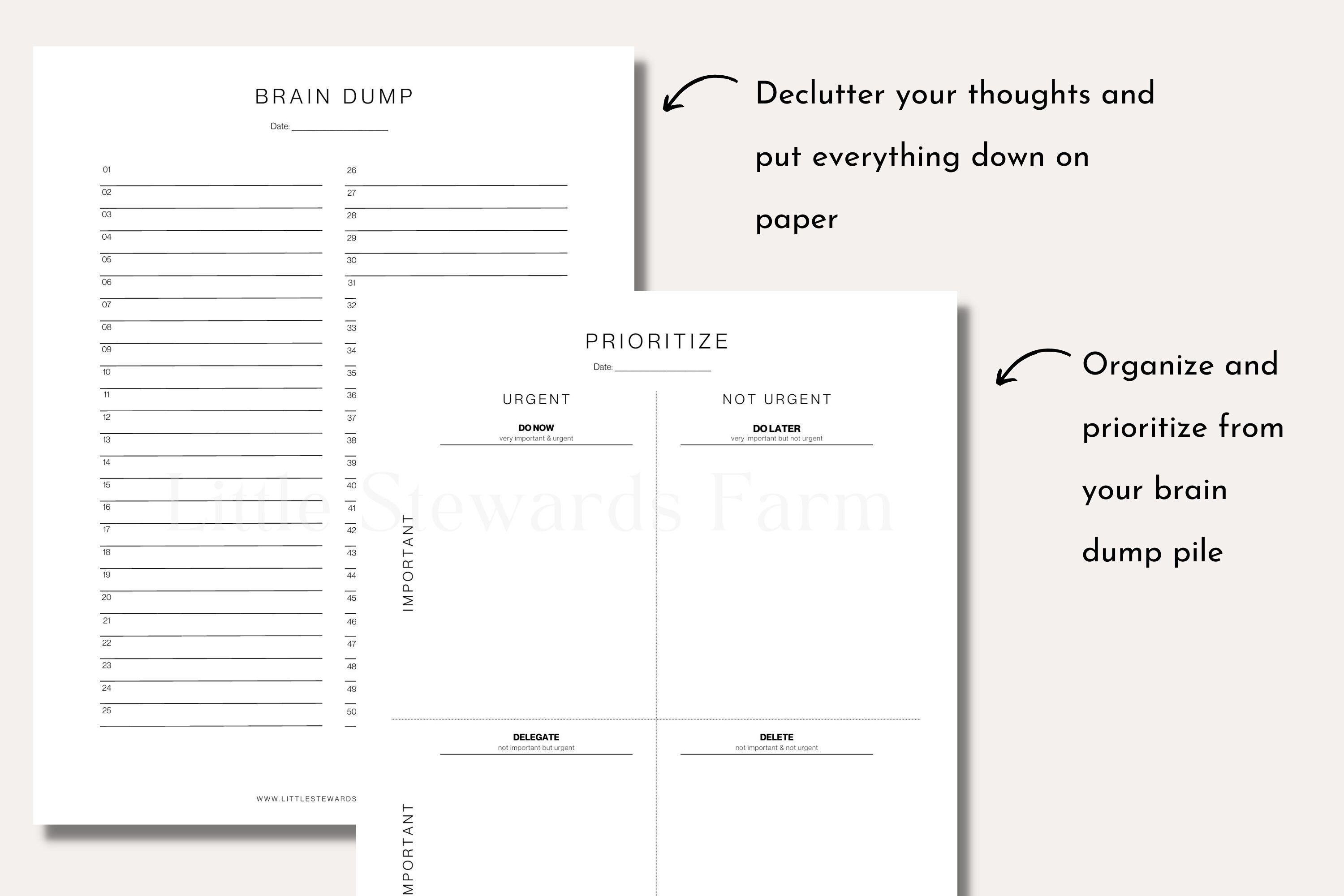 Brain Dump & Priority Matrix Bundle | Action Plan | Thought Organizer ...