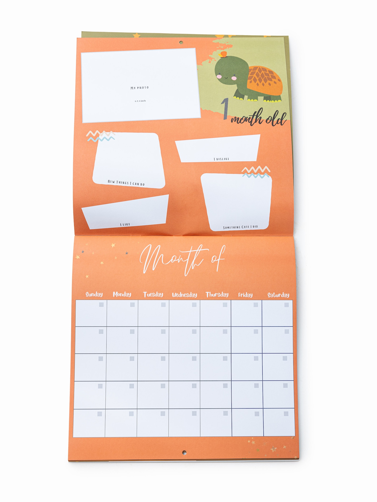 Gender Neutral | Baby First Year Calendar Bonus/ W Stickers - Etsy